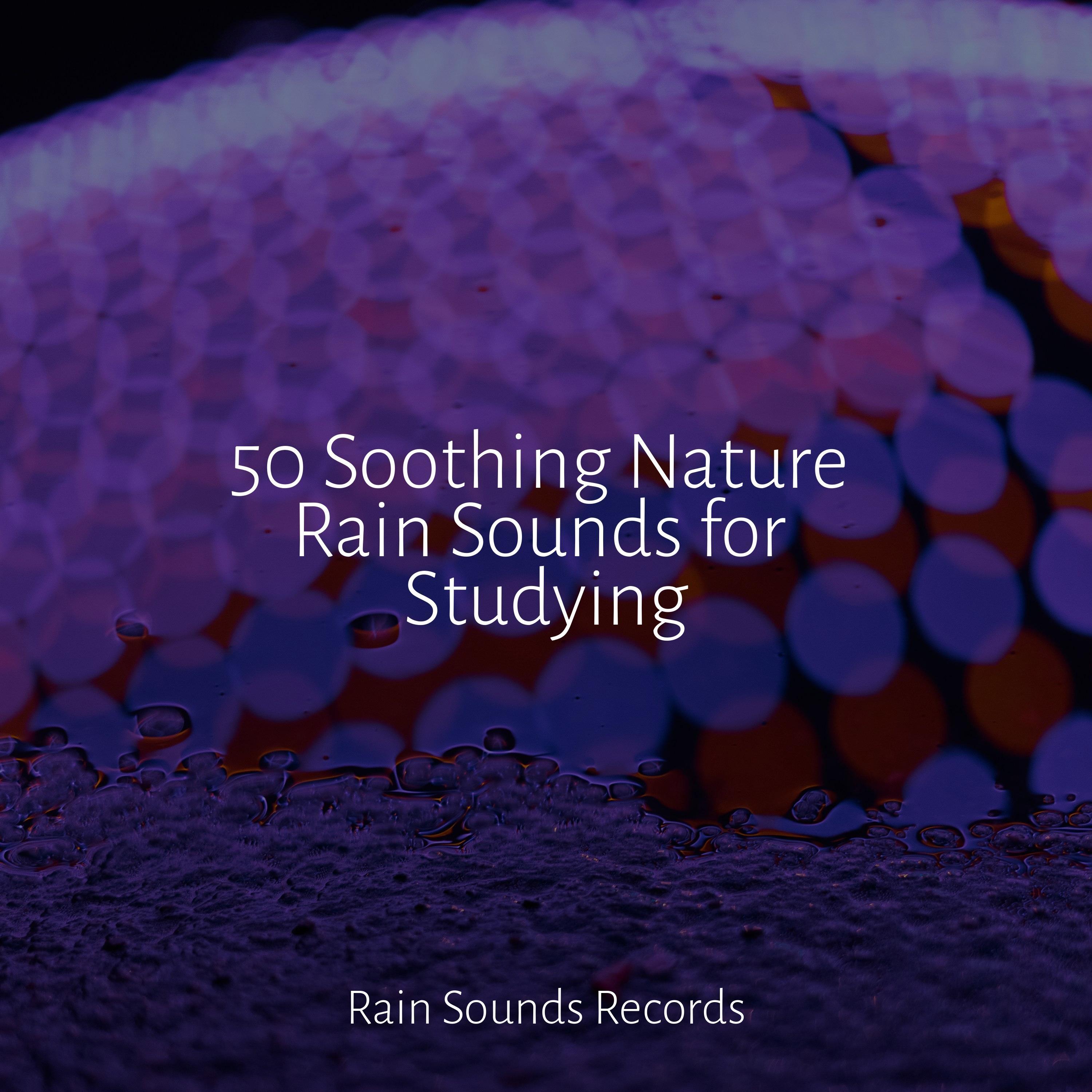50 Soothing Nature Rain Sounds for Studying - New Age - 专辑 - 网易云音乐