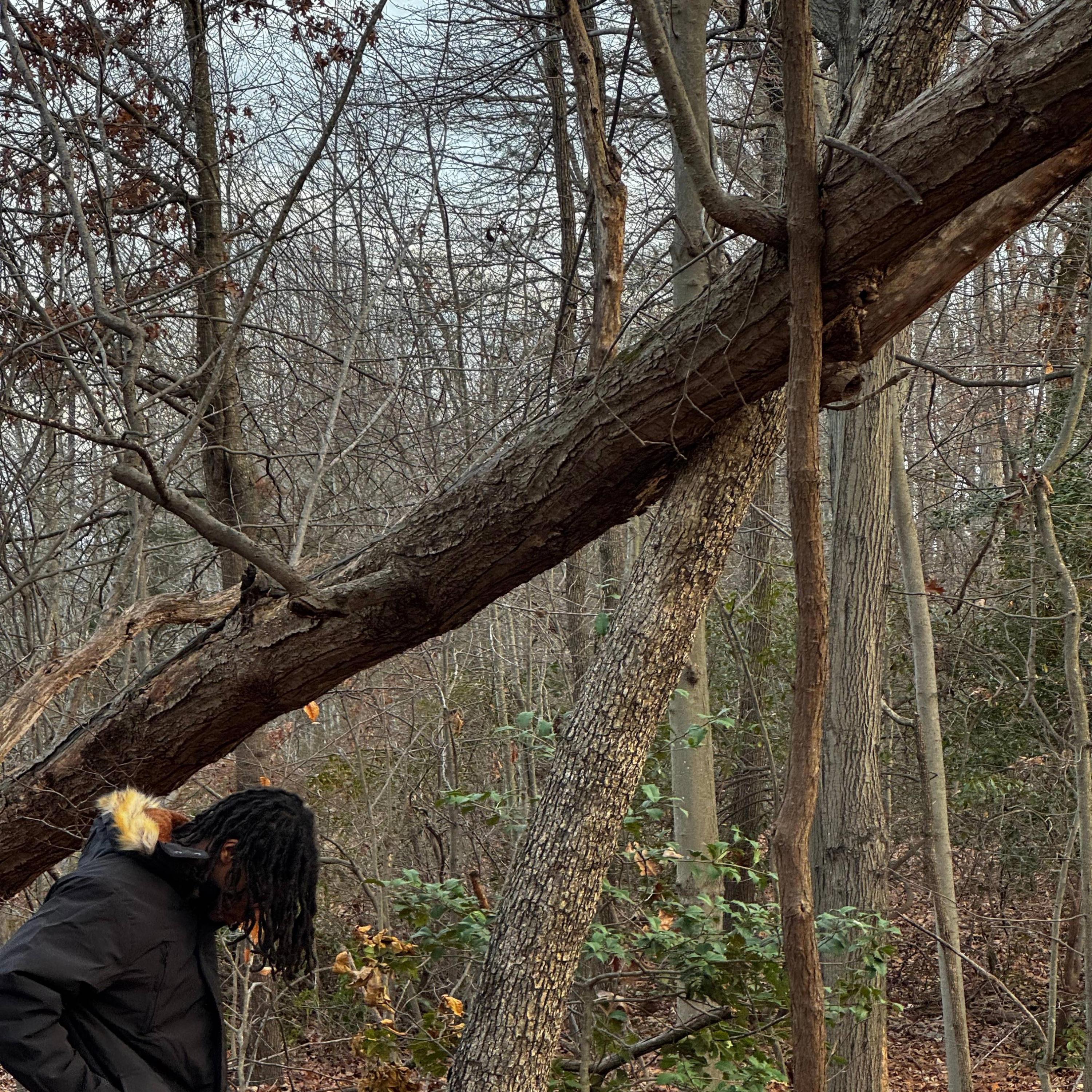 Lowroute - JESS BESS - 单曲 - 网易云音乐